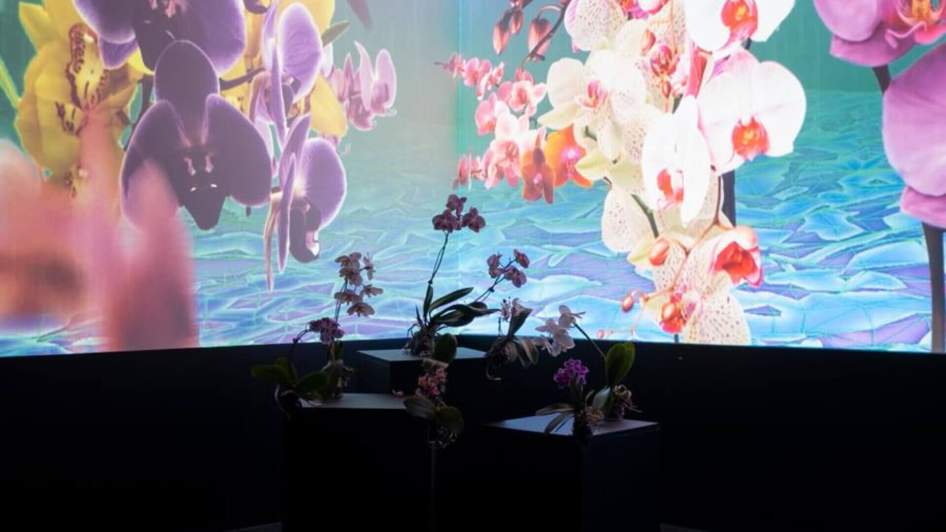 Metro Arts - Art Starts Here