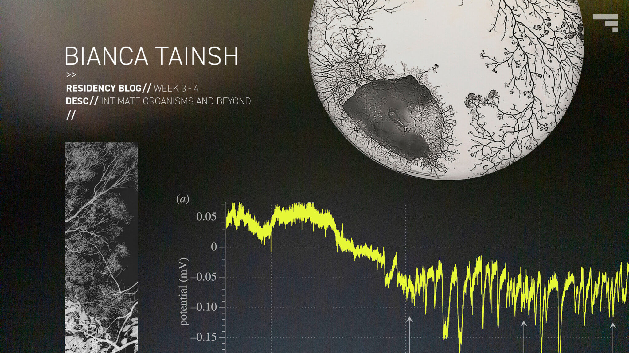 Metro Arts - Art Starts Here